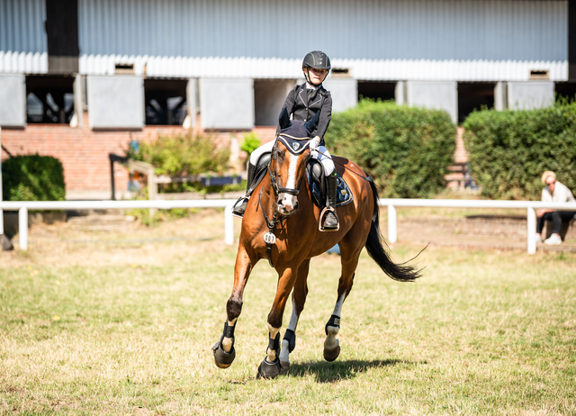 07 Springreiter-WB | Turnierfotoshop Rotfuchs Fotografie