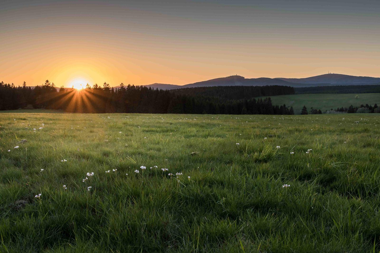 Nationalpark-Fototouren: Onlineshop - Realisiert mit Pictrs.com