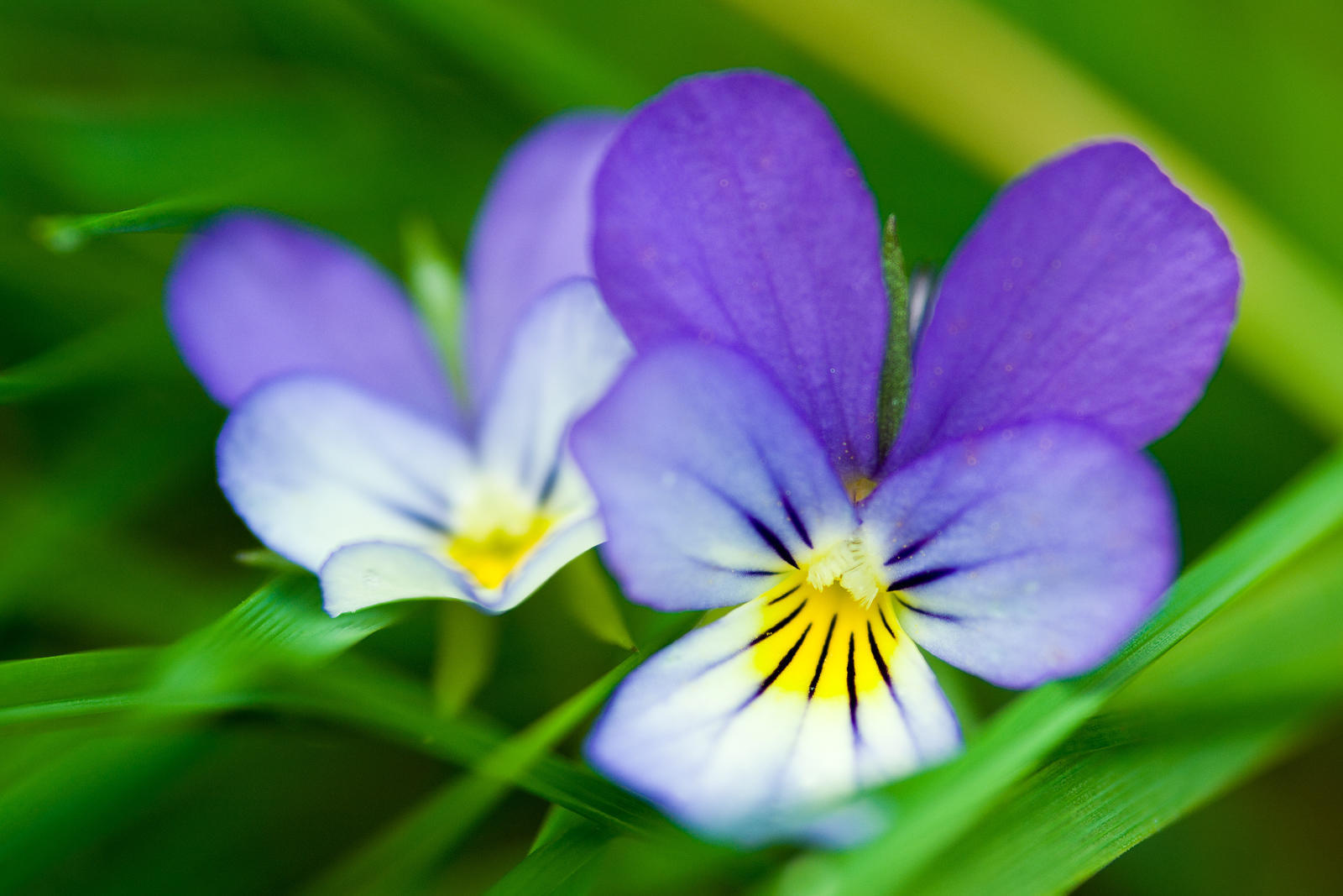 moll-photo - Realisiert mit Pictrs.com