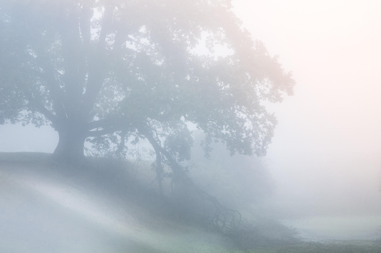 moll-photo - Realisiert mit Pictrs.com