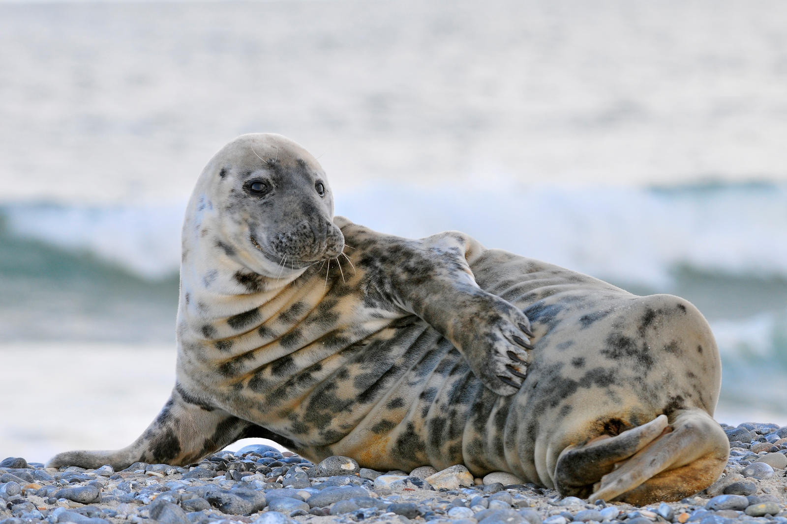 moll-photo - Realisiert mit Pictrs.com