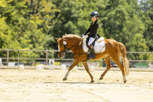 09C. Reiter-WB Schritt - Trab - Galopp | Your-Memories.com | Sabrina