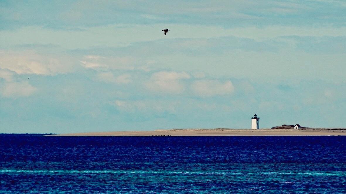 mmz-photographs - Realisiert mit Pictrs.com