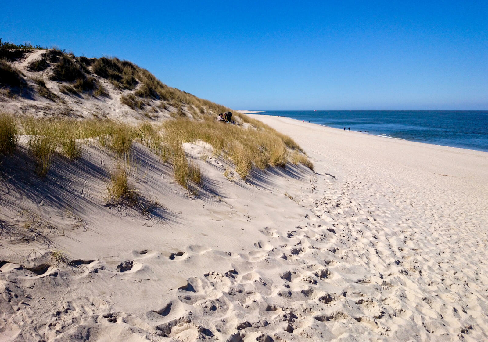 Warenkorb | SYLTFOTO the german hamptons - Realisiert mit Pictrs.com