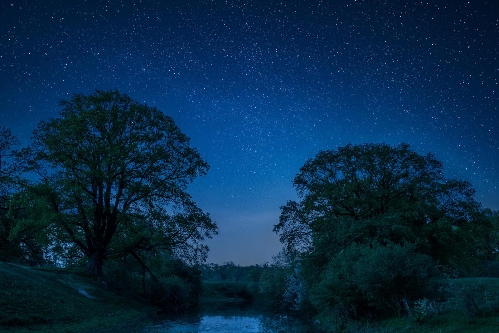 moll-photo - Realisiert mit Pictrs.com