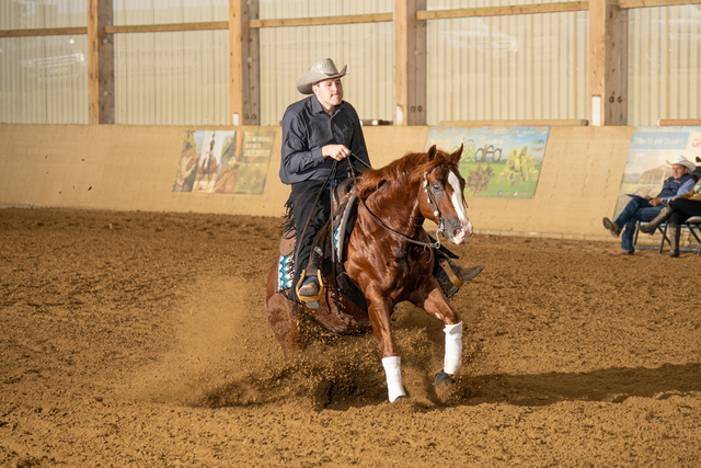 01_Startnummer_Pferd | dv-media-shop - Realisiert mit Pictrs.com