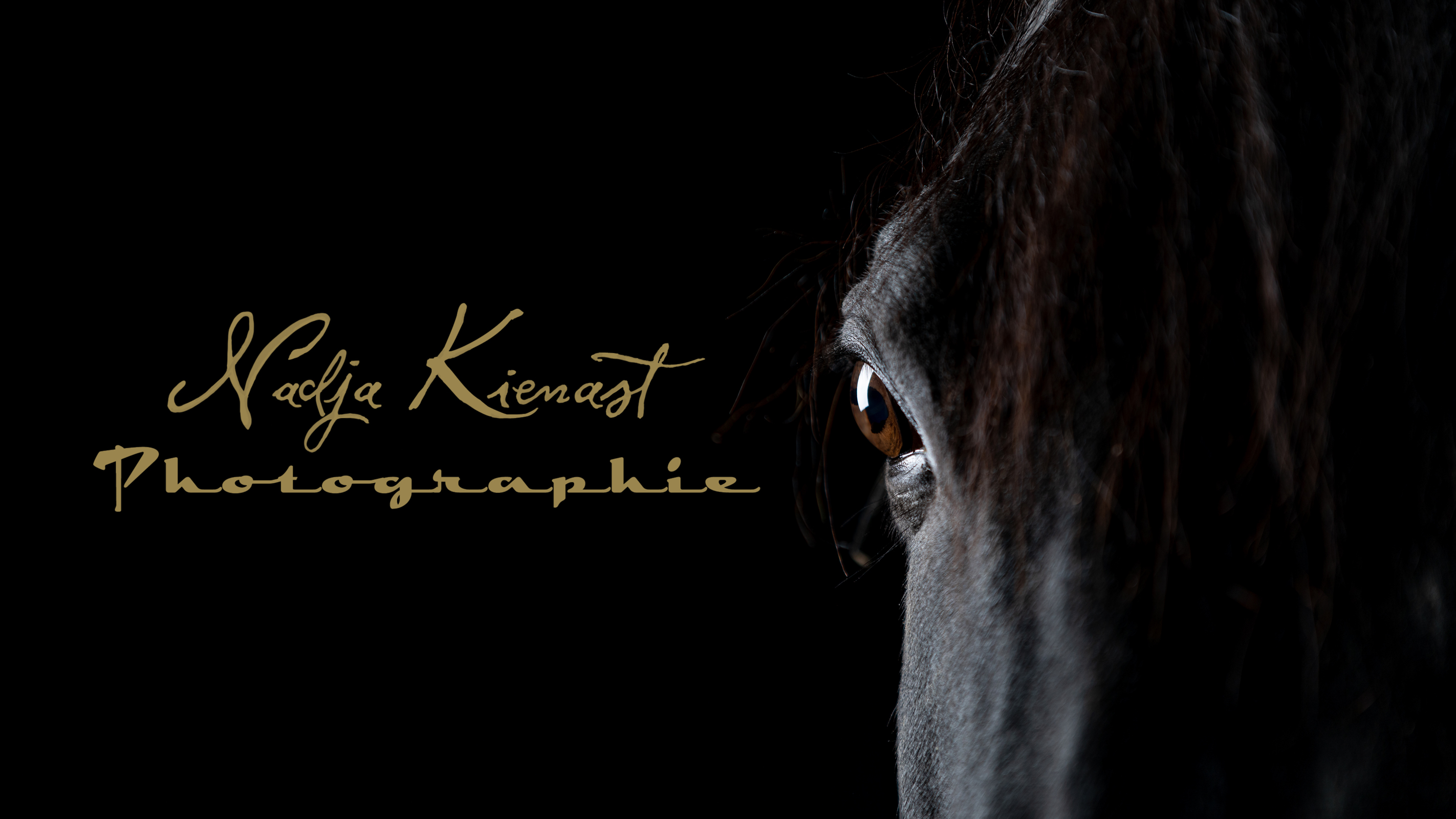 Kontakt | Fotoshootings, individuelle Workshops und Coachings