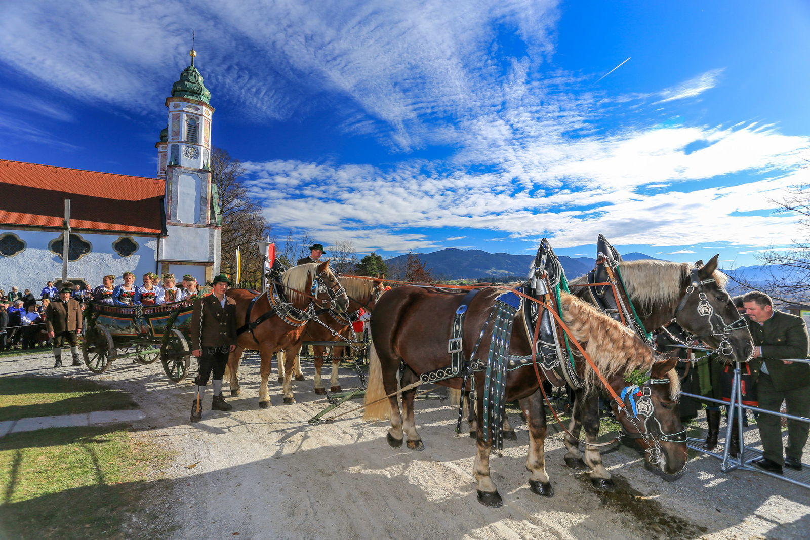 Willkommen bei Tölzer Leonhardi - Realisiert mit Pictrs.com