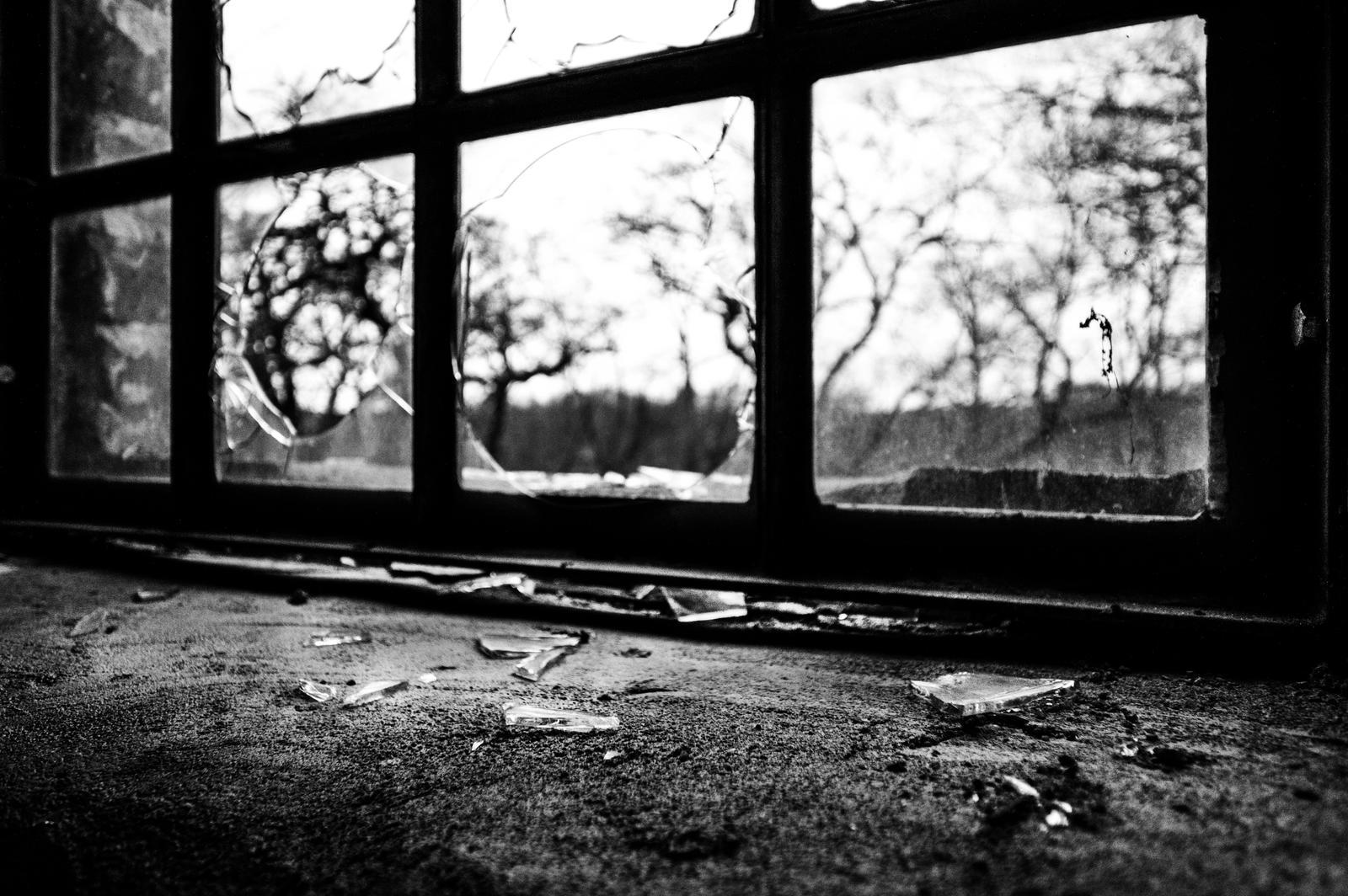 Flashback Pictures - Realisiert mit Pictrs.com