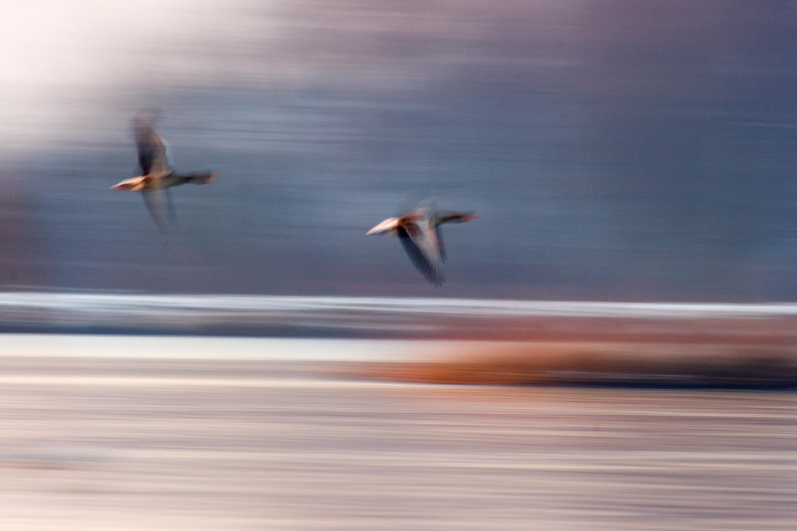 moll-photo - Realisiert mit Pictrs.com