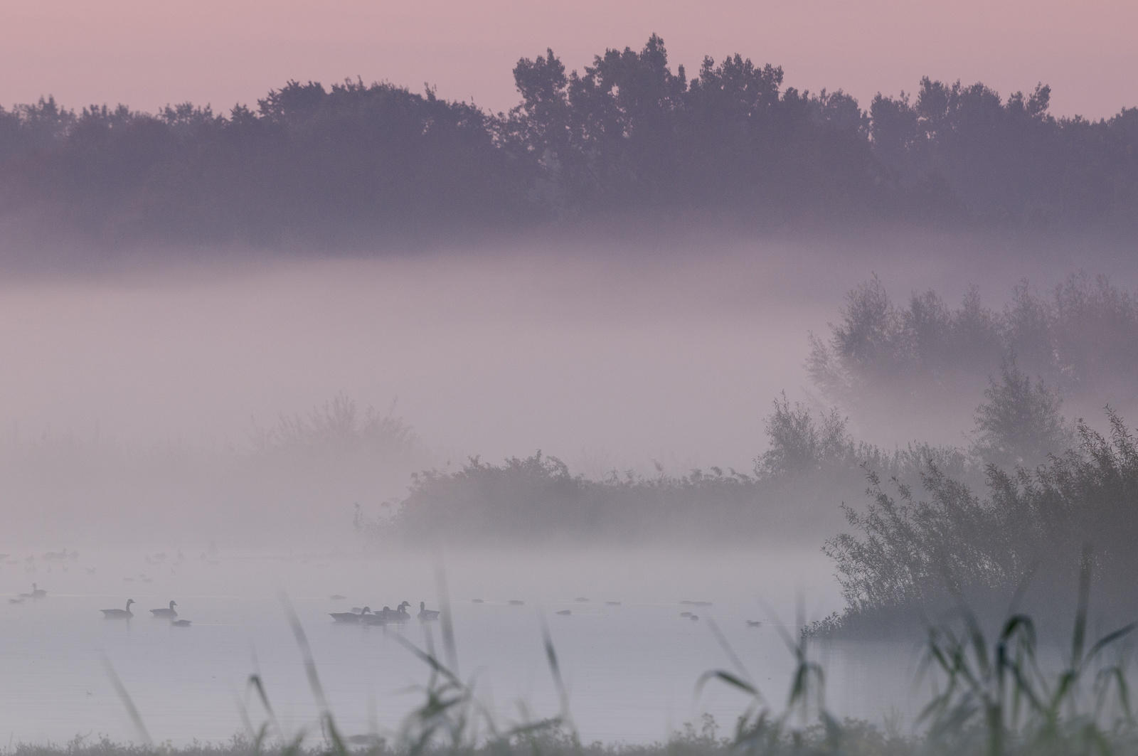 moll-photo - Realisiert mit Pictrs.com