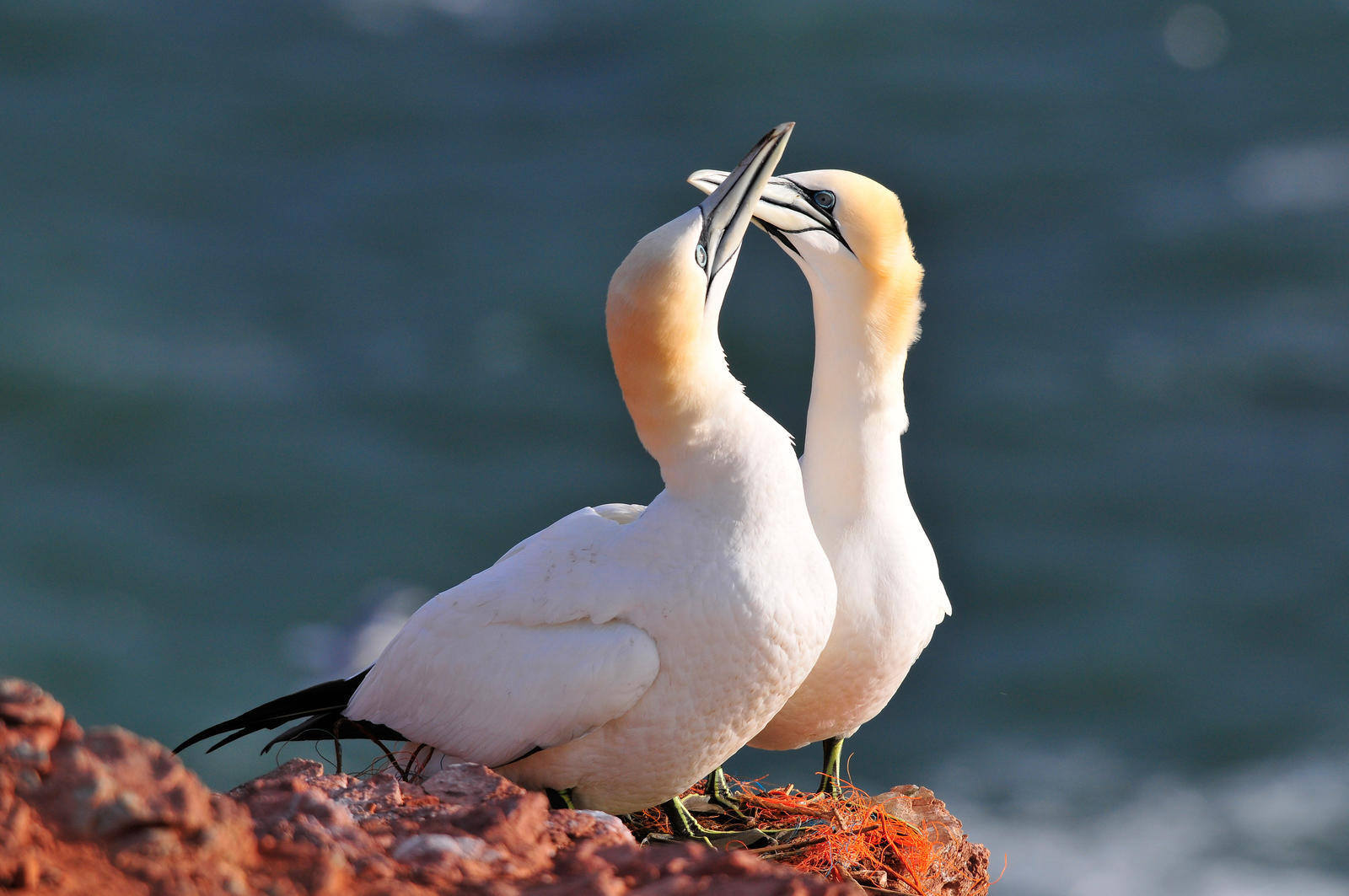 moll-photo - Realisiert mit Pictrs.com