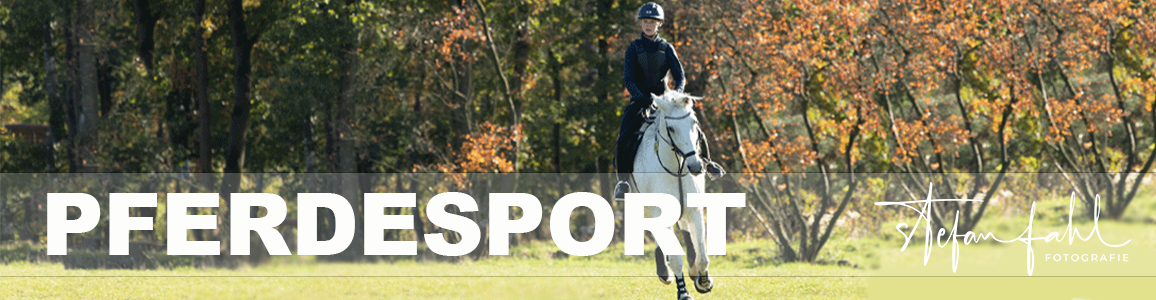 fahl - Realisiert mit Pictrs.com