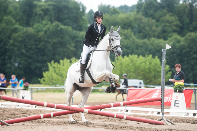 18. Caprilli-Test | Luigrafie Webshop - Realized with Pictrs.com